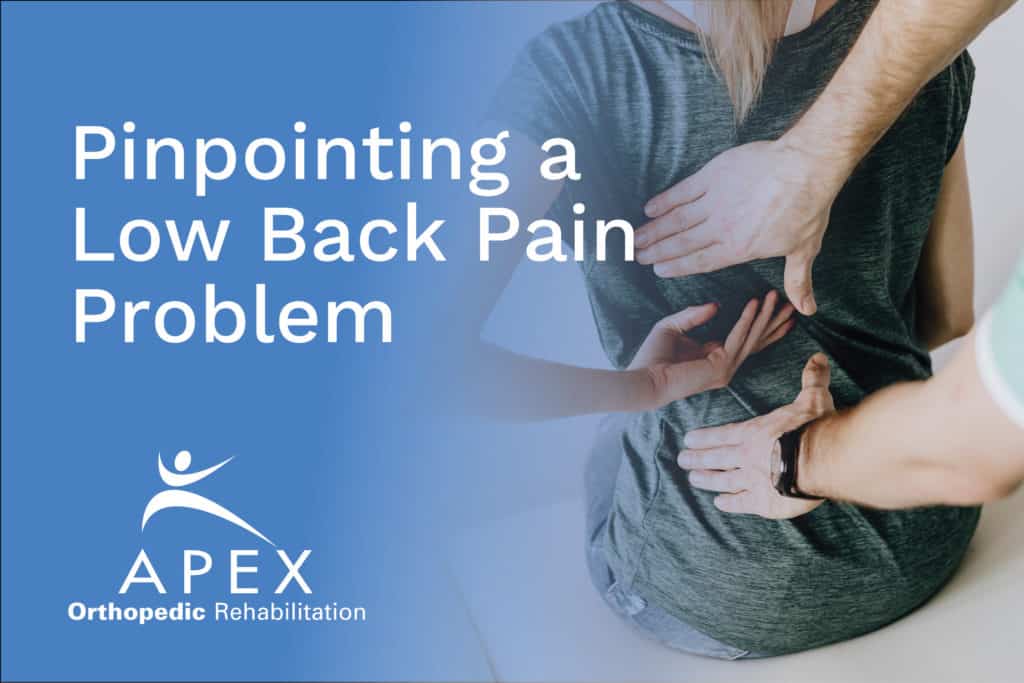 Pinpointing a Low Back Pain Problem | Apex Orthopedic